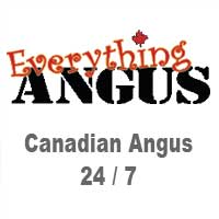Everything Angus Canada